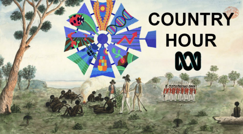 It’s the Voice of ‘Rural Nullius’ on a Jim Crow Country Hour | Pearls ...